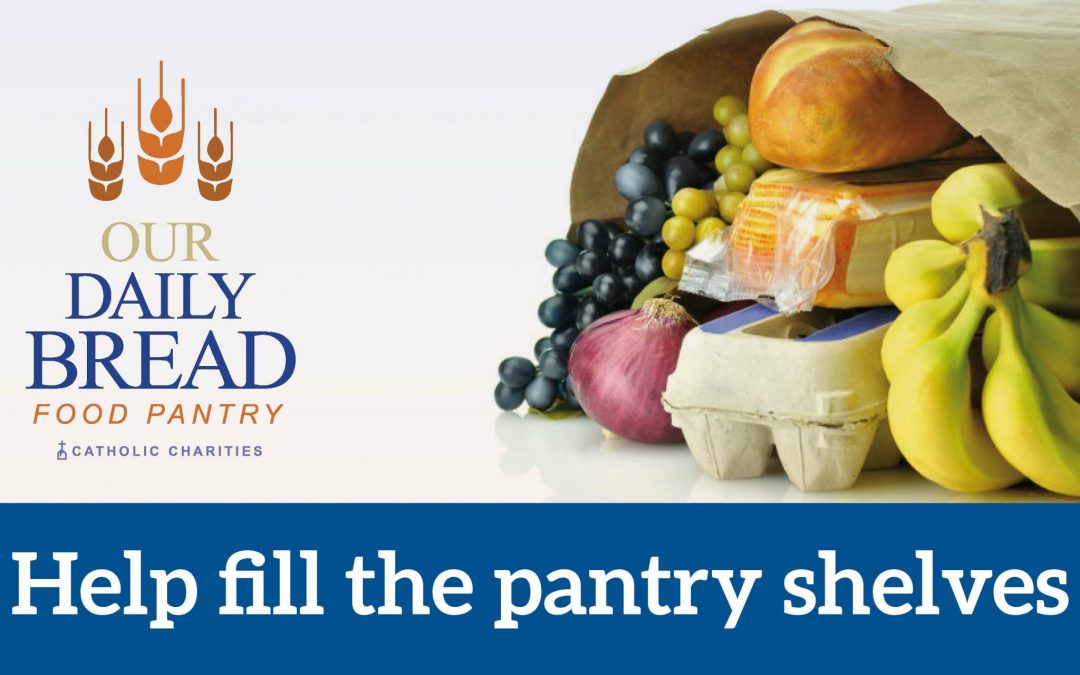 Summer Food Drives Benefit Our Daily Bread Food Pantry - Catholic Charities